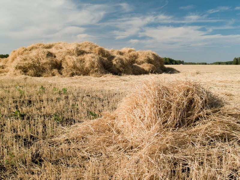 Haystack stock image. Image of straw, bale, stack, autumn - 15867155
