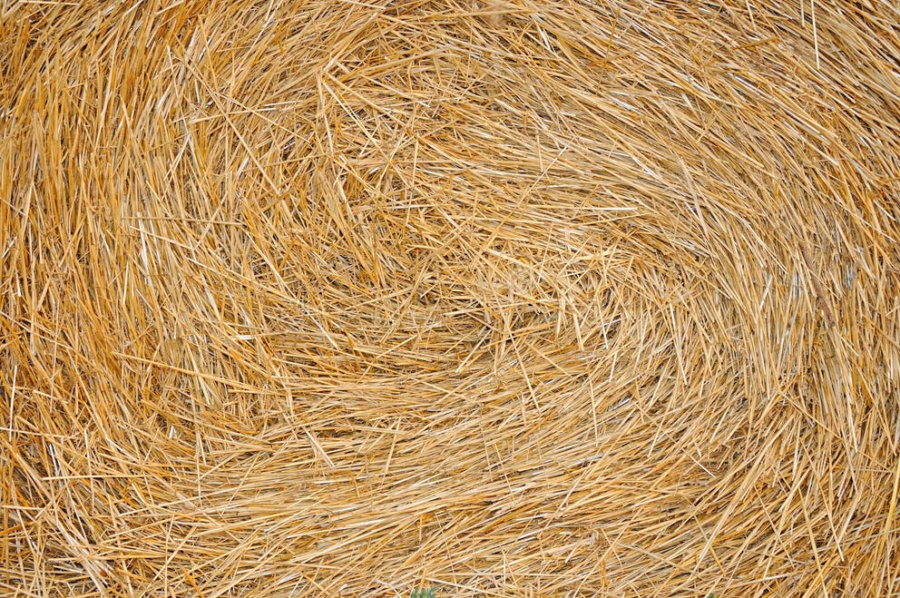 Haystack stock photo. Image of roll, yellow, crops, rick - 15906358