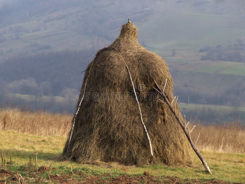 Stock Photos and Royalty-Free Images by Dreamstime