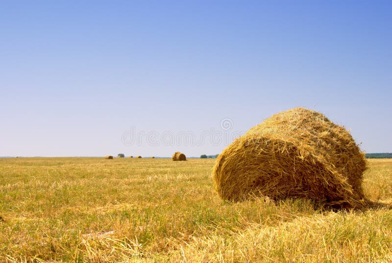 Haystack stock photo. Image of nature, evening, blue - 16701278
