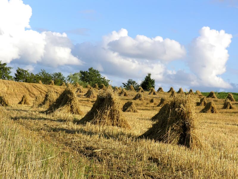 Haystack stock image. Image of stack, harvest, straw, clouds - 203439
