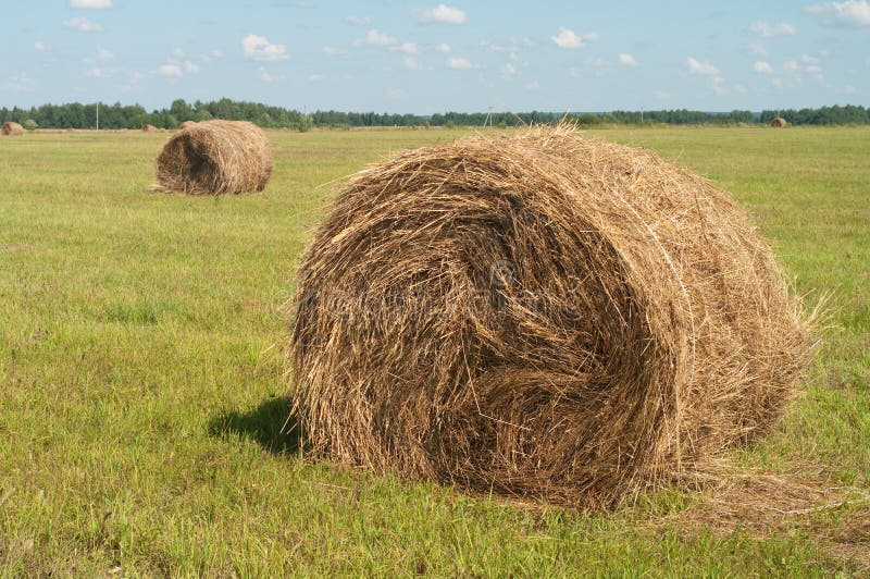 Haystack stock photo. Image of bright, harvest, cloudscape - 20747354