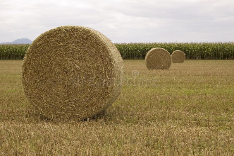 Haystack stock image. Image of haystack, farm, wheat - 24438675