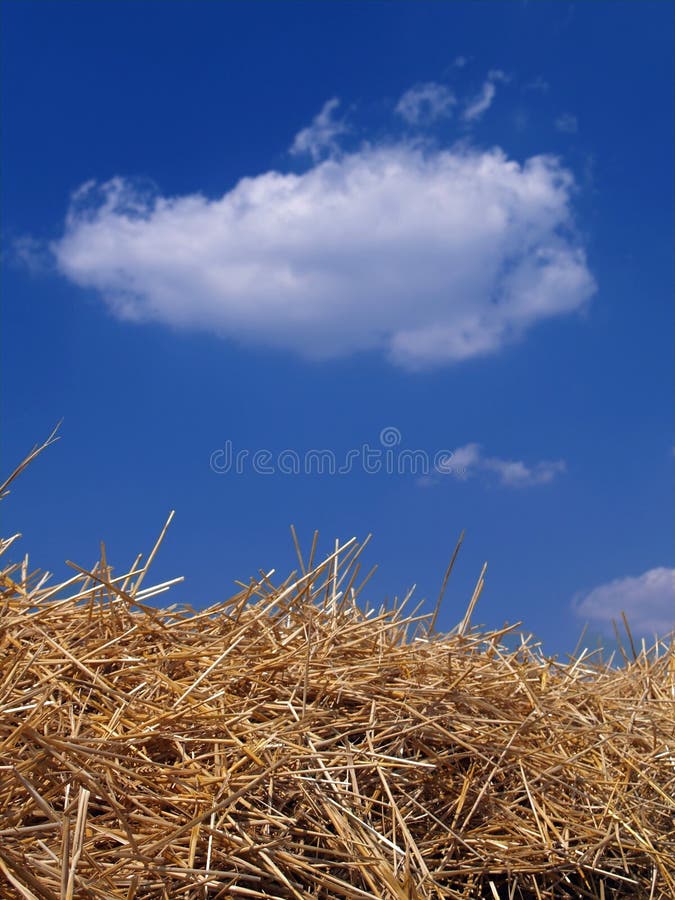 Haystack stock image. Image of ranch, summer, grain, field - 2457927