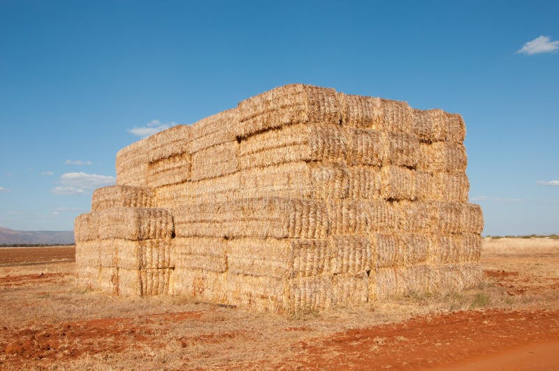 Haystack. stock photo. Image of plant, haystack, industry - 25364810
