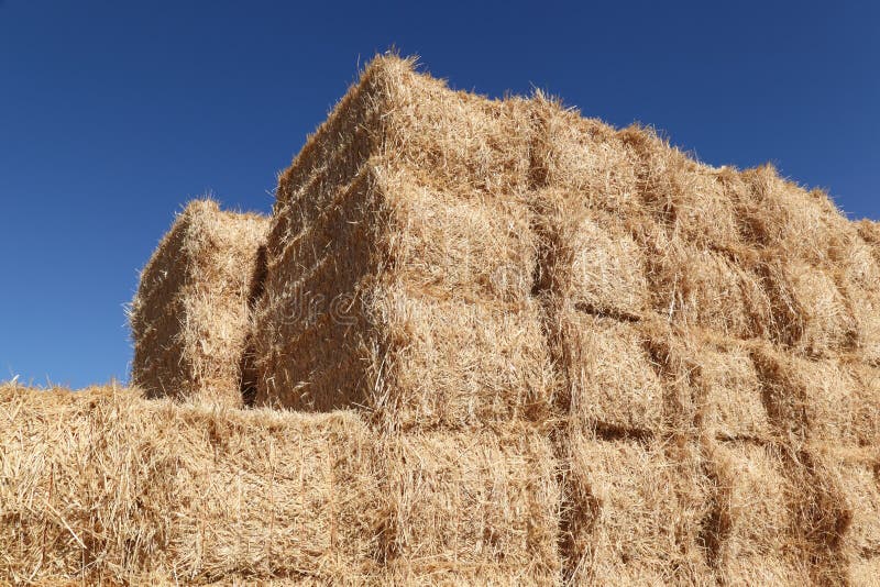 Haystack stock image. Image of animal, farm, bundled - 26377597