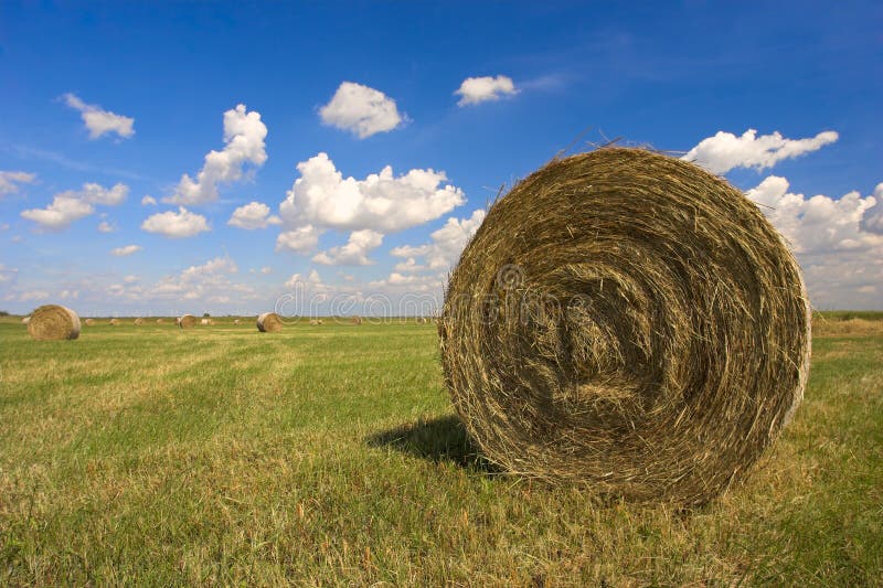 Haystack stock image. Image of field, haystack, landscaped - 3167815