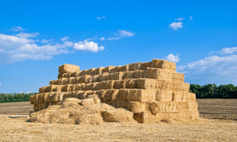 Very high tower stock image. Image of baby, background - 1056417