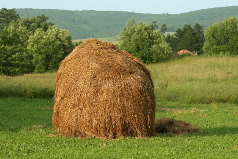 Hay tractor stock image. Image of grass, tree, bales - 14849633