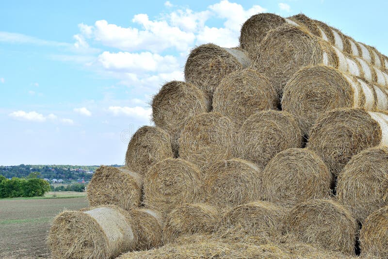 Haystack Against the Sky with Clouds Stock Photo - Image of stack ...