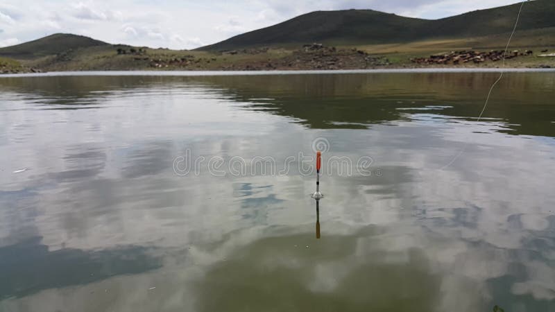 Straw Feed Stock Footage & Videos - 3,494 Stock Videos