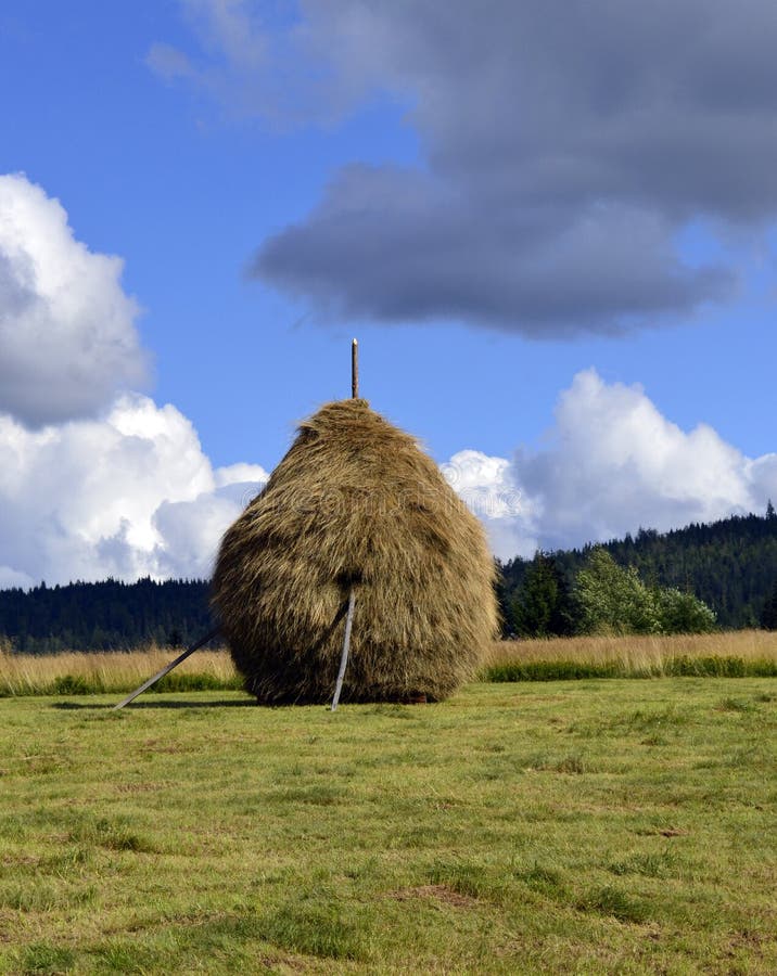 Haystack To Feed Cattle Rectangular Stock Photo - Image of agriculture ...