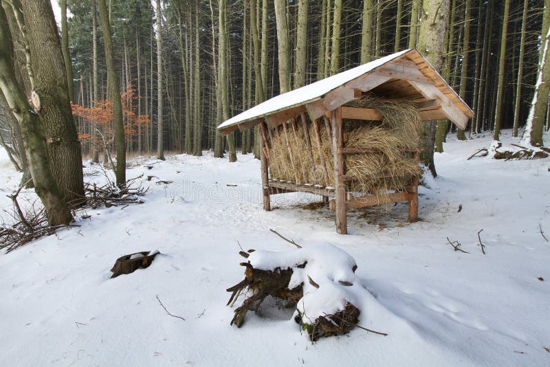 Haystack for animals stock image. Image of game, haystack - 51142007