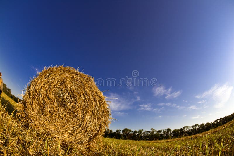 Haystack in autumn field stock image. Image of food, farms - 20413627