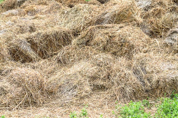Haystack background stock photo. Image of color, gold - 28270962