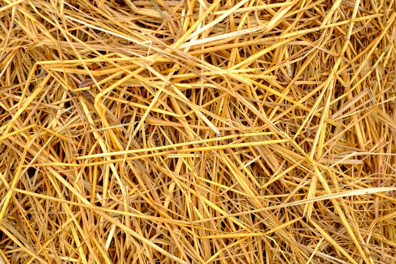 Haystack background stock image. Image of haystack, background - 84746987