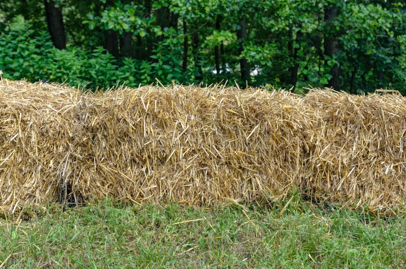 Haystack on the Background of Field Stock Image - Image of grass, feed ...