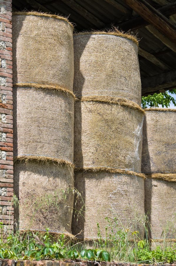 Haystack Big Bales Packaging in Plastic Stock Image - Image of round ...