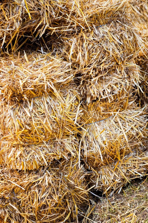 Barn with haystack stock image. Image of copy, bale, season - 95157087