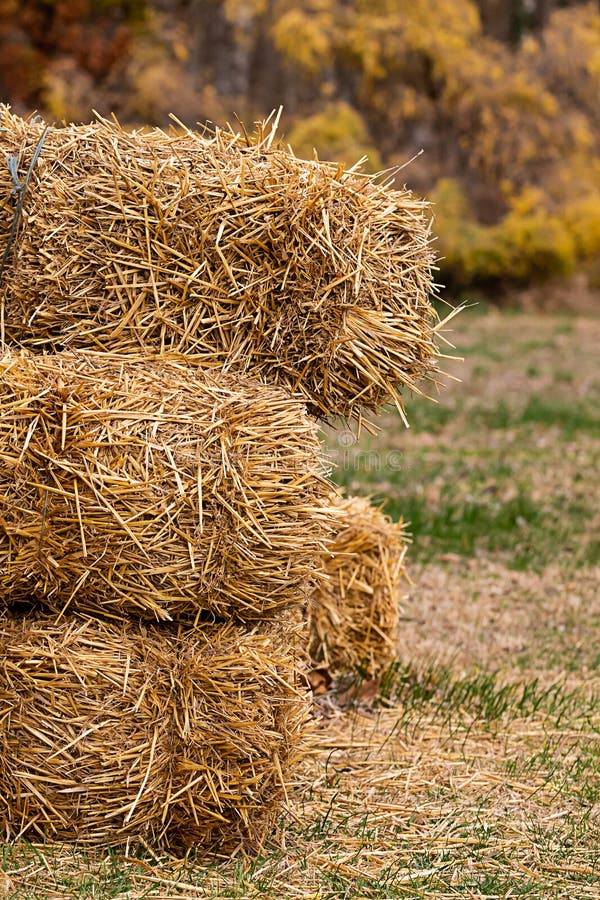 Haystack On Background Of Deciduous Forests And Fields Grass. Beautiful ...