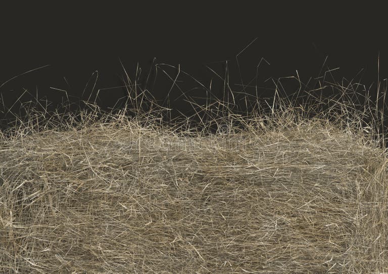 Haystack Closeup Isolated on Black Background with Copy Space. Top View ...
