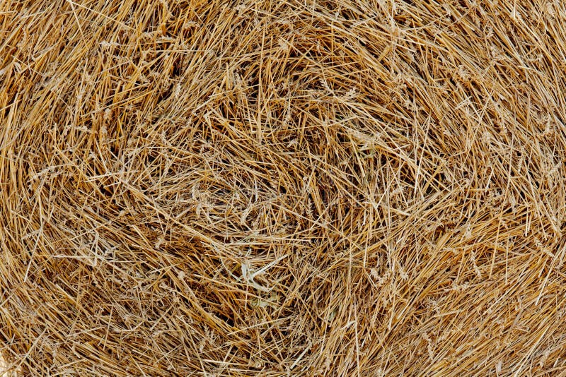 Haystack stock photo. Image of abstract, herb, light - 40975120
