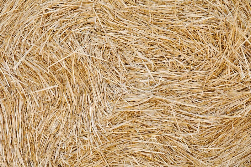 Haystack closeup texture stock image. Image of farming - 71469595