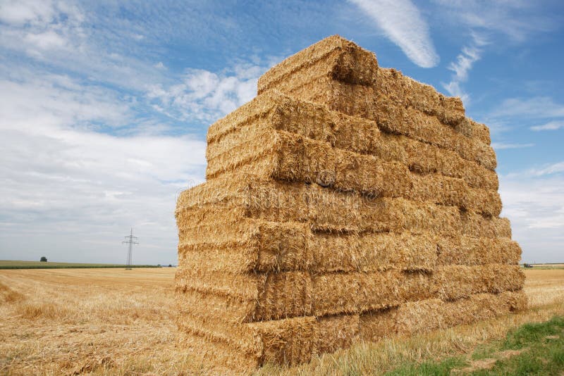 Needle in a Haystack stock image. Image of haystack, hard - 59995865