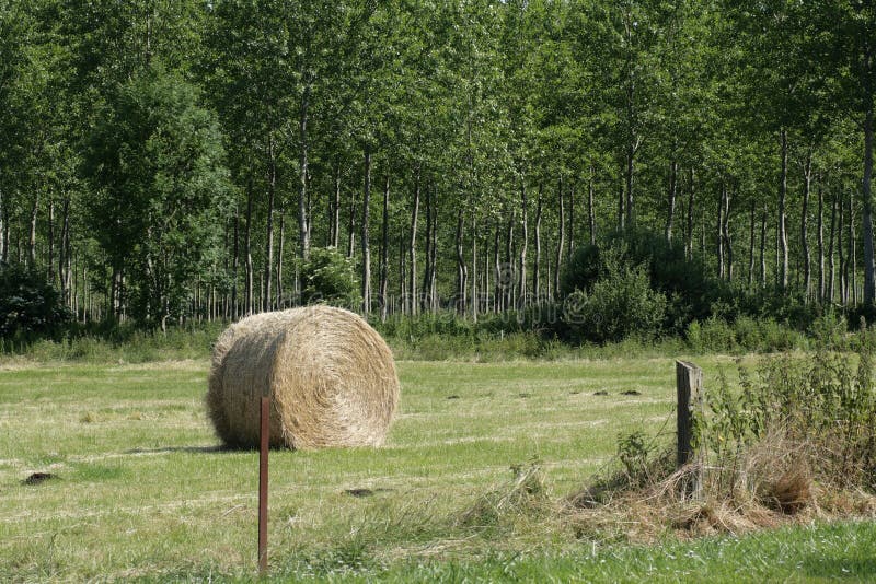 Haystack in Countryside, France Stock Photo - Image of countryside ...
