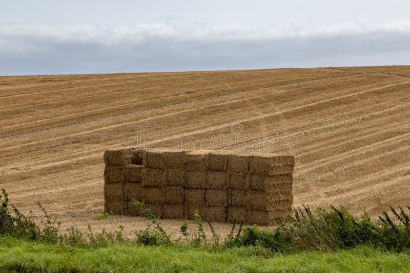 A Haystack in a Field in Dorset, on a Summer S Day Stock Image - Image ...