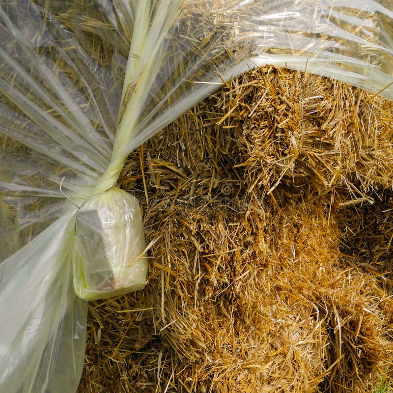 Haystack covered with foil stock photo. Image of bale - 59142684