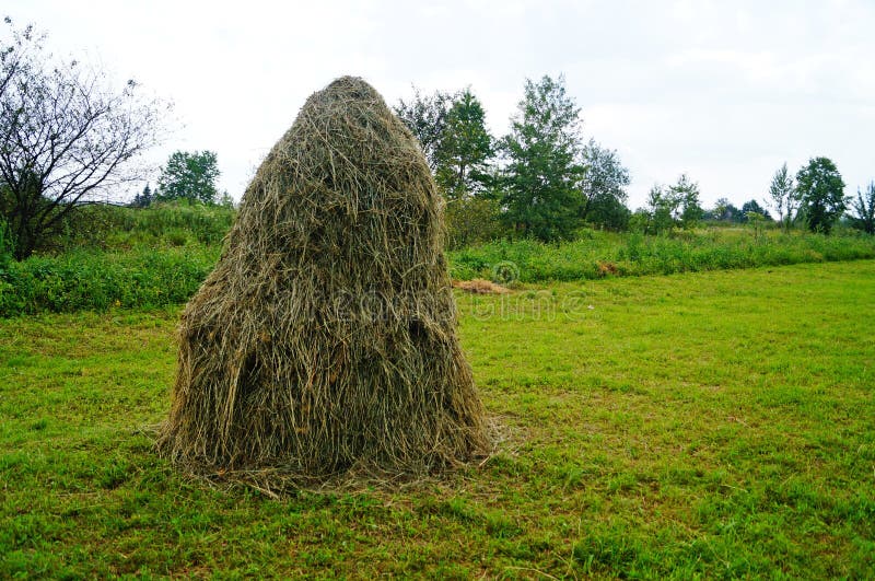 Haystack with Dry Grass in a Meadow with Green Grass Stock Image ...