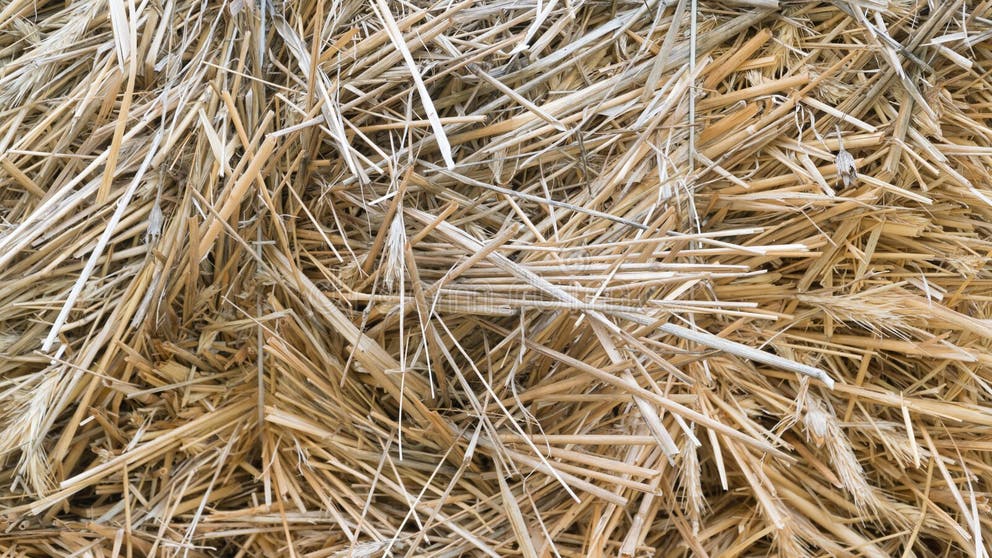 Haystack stock image. Image of summer, rural, grass, texture - 79046839