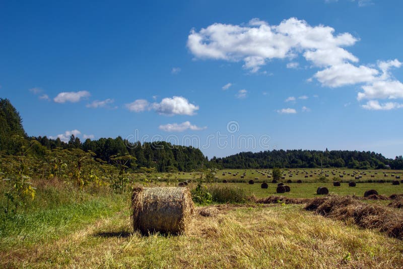 A Haystack in a Farmer`s Field. Stock Image - Image of grazing, outdoor ...