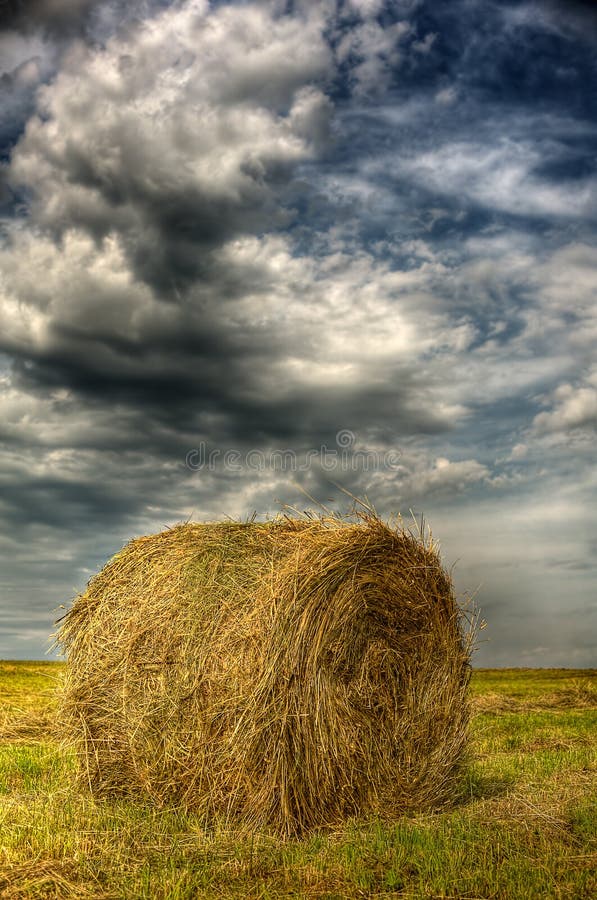 Haystack in field stock image. Image of haystack, natural - 42746381