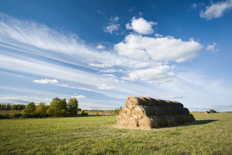 Haystack at field stock photo. Image of fall, landscape - 11233750