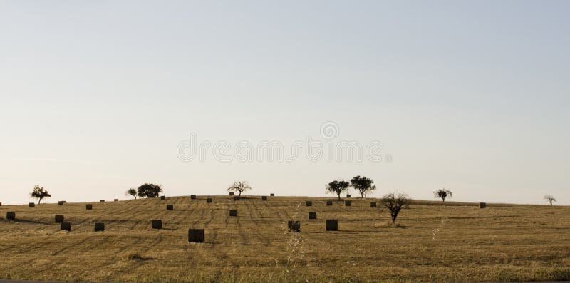 Haystack field stock image. Image of rural, ilex, meadow - 12275503
