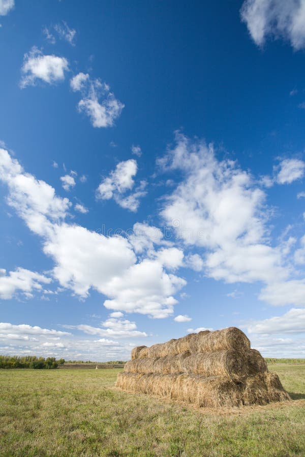 Haystack at field stock photo. Image of haystack, country - 12464608
