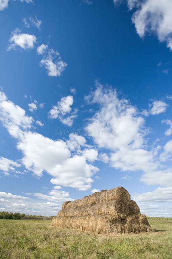 Haystack at field stock image. Image of haystack, outdoor - 13025639