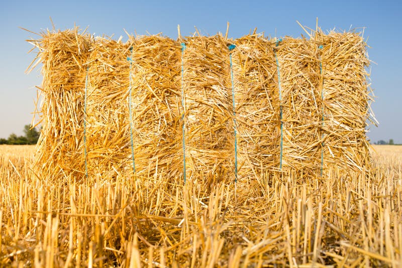 The haystack stock image. Image of color, orange, gold - 57026041
