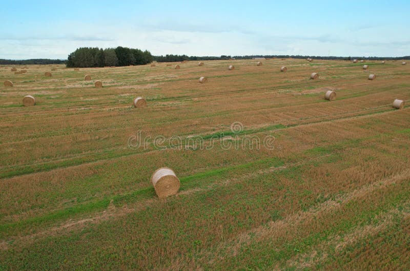 Haystack on Field on Blue Sky Background. Hay Bale from Residues Grass ...