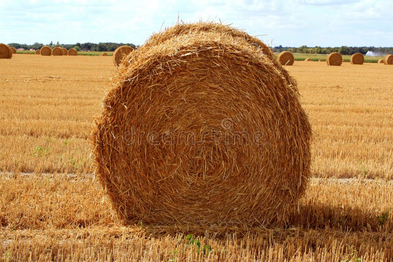 Haystack stock photo. Image of agriculture, stack, ecology - 27836490