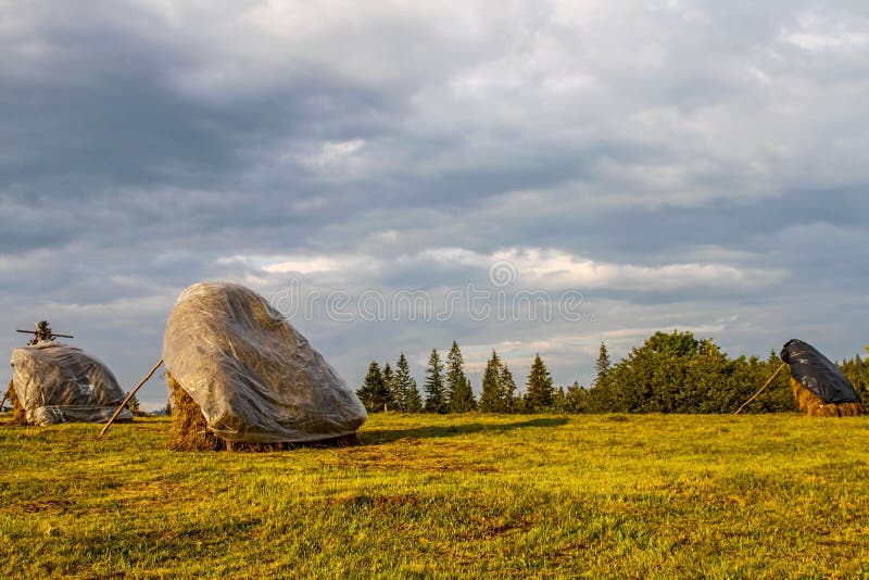 Haystack on the field stock image. Image of backdrop - 170072455