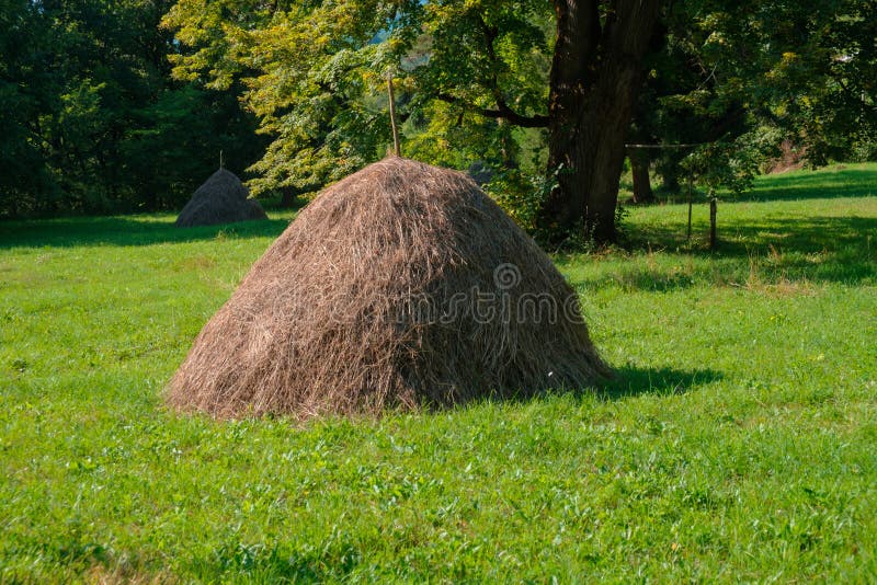 Haystack in field stock photo. Image of agriculture - 289046862