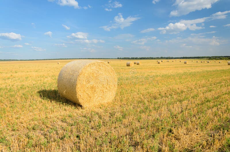 Haystack in the field stock photo. Image of nature, harvest - 58441092