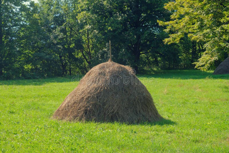 Haystack in field stock photo. Image of agriculture - 289046862