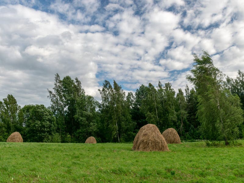 Haystack on the field. stock photo. Image of gates, background - 152797324