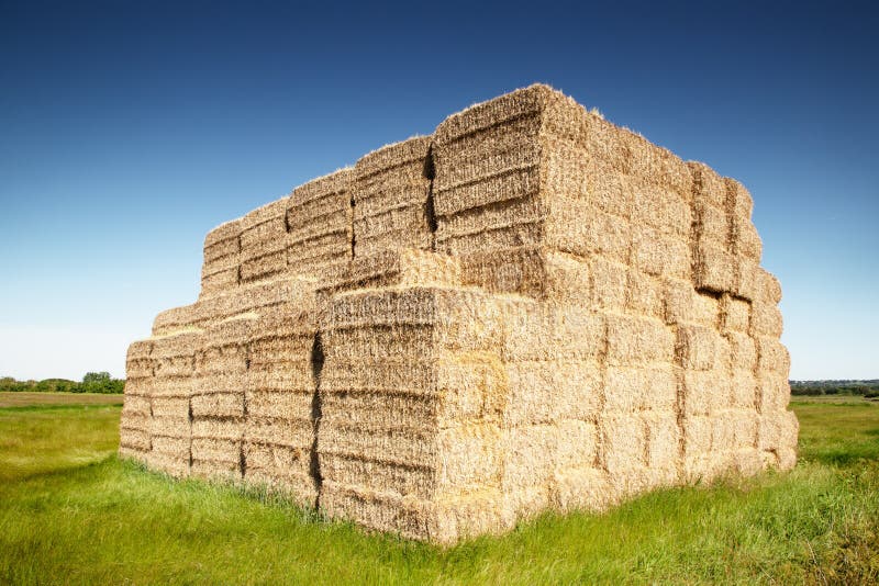 Haystack in a field stock image. Image of haystack, country - 186594759