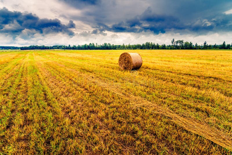Haystack in the field stock image. Image of autumn, agronomy - 240715007