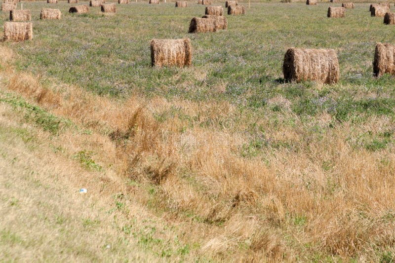 Haystack in the Field,summer Day Stock Image - Image of farmland, round ...